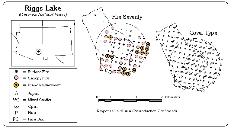 Mexican Spotted Owls and Fire - Appendix B, Riggs Lake