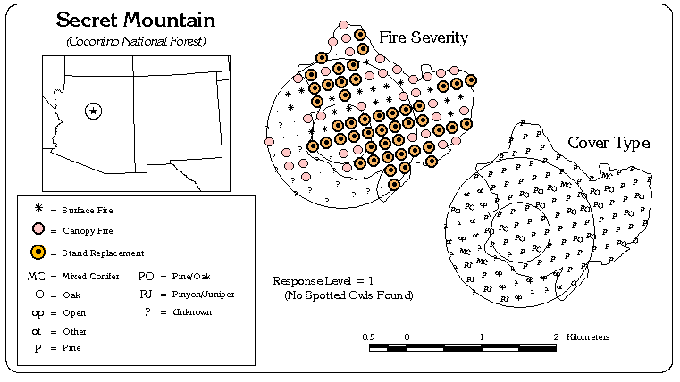 Mexican Spotted Owls and Fire - Appendix B, Secret Mountain